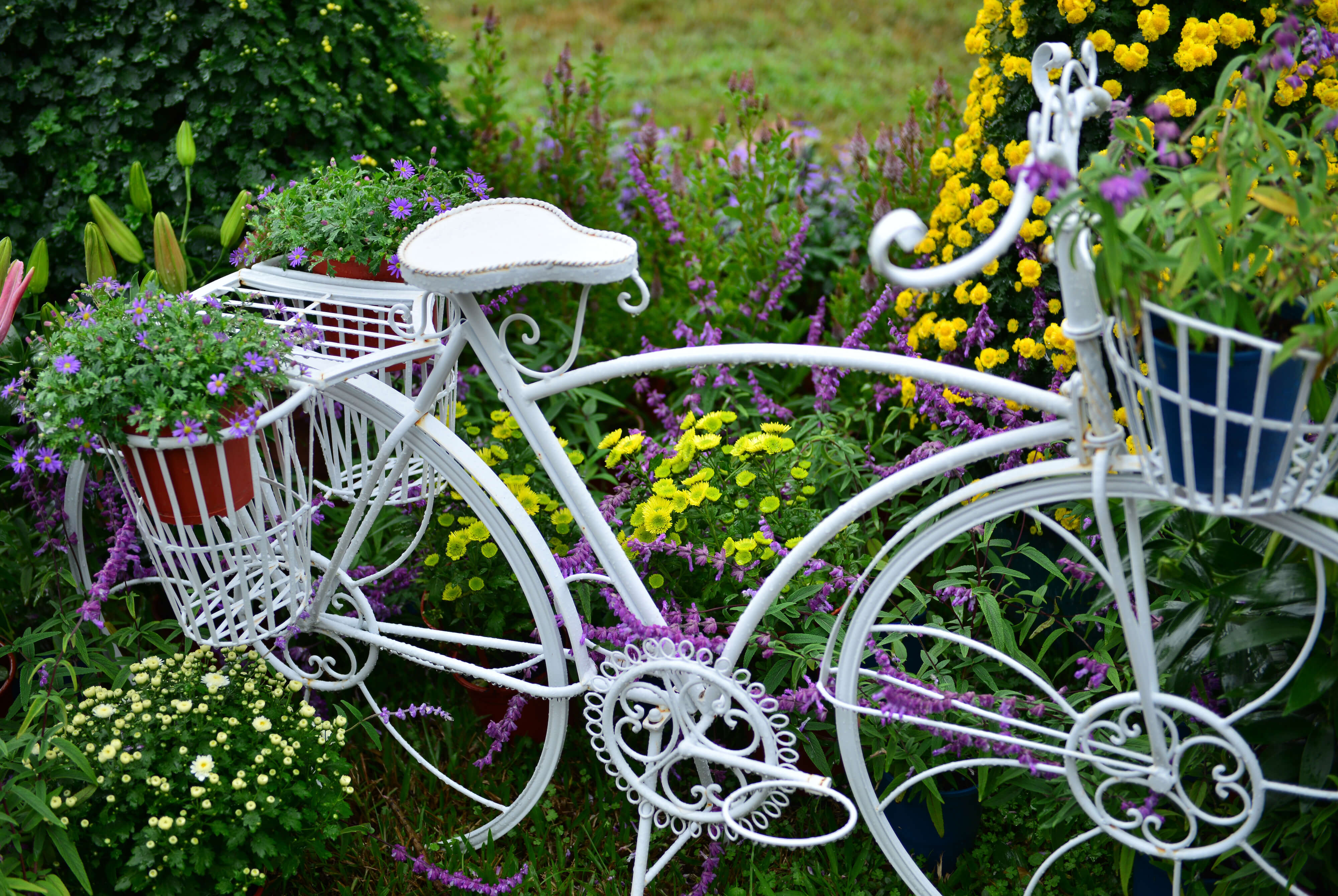 5 Tips to Grow Your Own Garden in the City | Terri Buseman